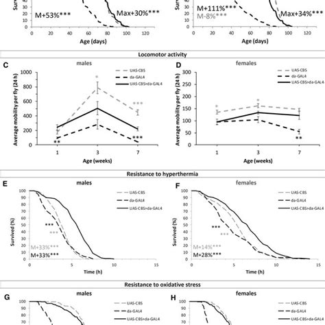 Effects Of Cbs Overexpression On The Lifespan A B Locomotor