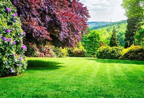 Green Outdoor Background 18 Tips For Decorating Your Garden This Old