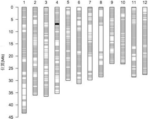 Recombinant Nucleic Acid Fragment Reccr023411 And Detection Method Thereof Eureka Patsnap