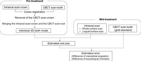 Can We Estimate Root Axis Using A 3 Dimensional Tooth Model Via Lingual
