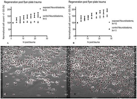 Cell Count Normalized Mean ± Sd In Lesion Peripheries Vs