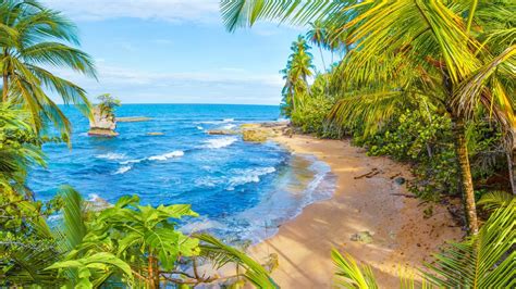 Manzanillo Beach In Limón Province Costa Rica Spotlight Photos