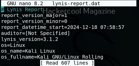 Beginners Guide To Lynis Hackercool Magazine