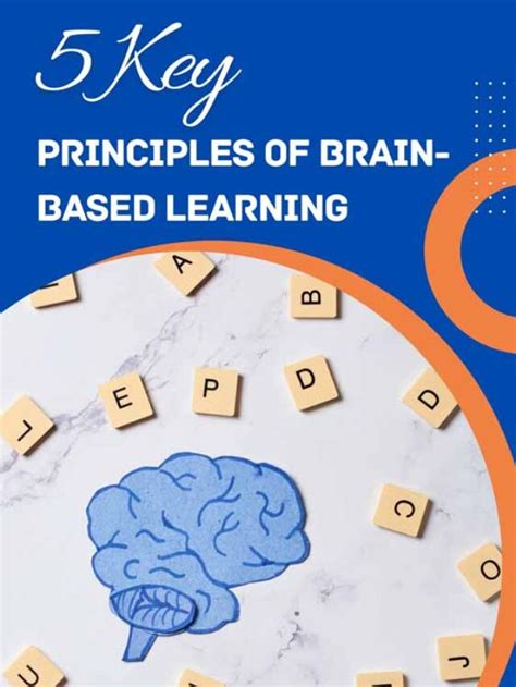 5 Key Principles Of Brain Based Learning Future Education Magazine