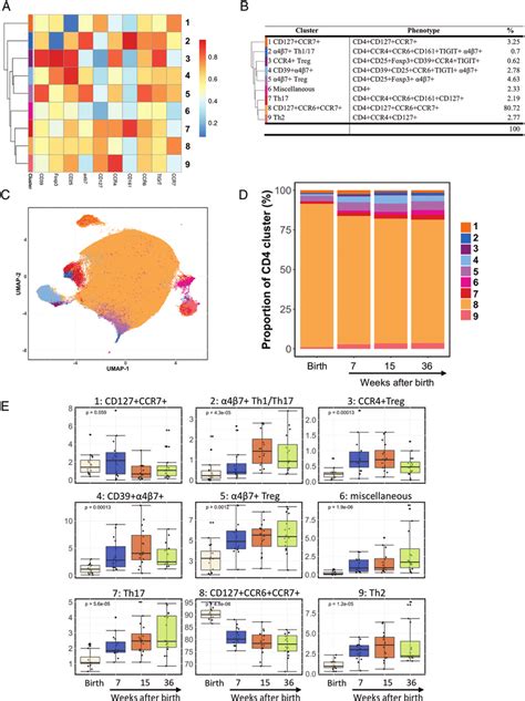 identity of heterogenous cd4 t cell clusters during infancy a