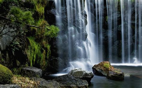 배경 화면 숲 폭포 자연 돌 벽 이끼 흐름 열대 우림 물줄기 초목 Wasserfall 물 특징 시내들