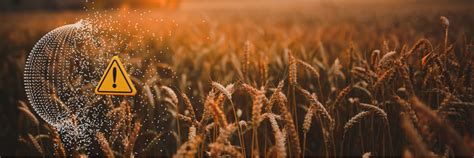 New Gmo Alert How Long Before Amber Waves Of Gmo Grain Flood The