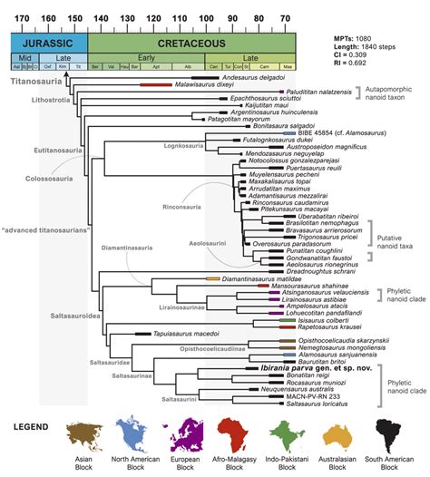 temporally calibrated strict consensus tree depicting the phylogenetic