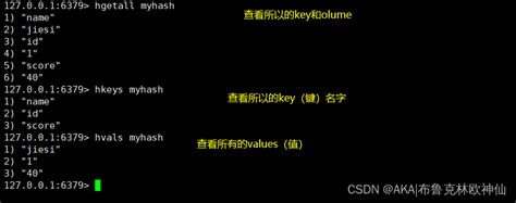 Redis不同数据类型下的基础查询命令redis 查询zadd存入的数据 Csdn博客