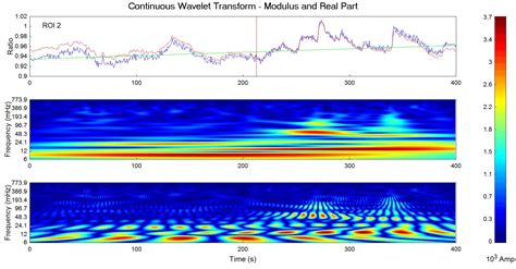 Wavelet Matlab Pdf Successtree