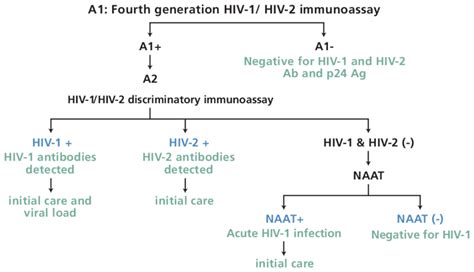 HIV Testing Algorithm From The Centers For Disease Control And Download Scientific Diagram