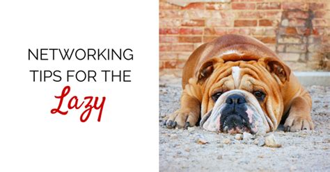 Networking Tips For The Lazy
