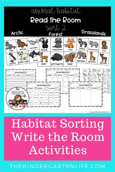 Animal Science Habitat Sorting Activity For Forest Arctic And