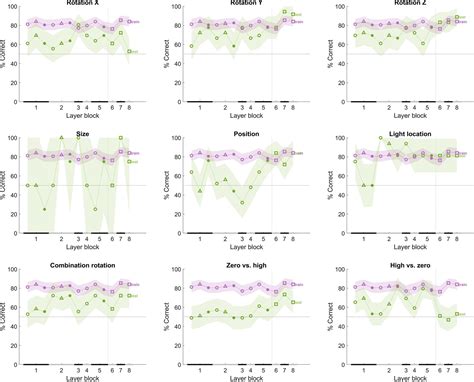 A Computationally Informed Comparison Between The Strategies Of Rodents And Humans In Visual