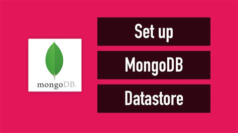 Set Up Mongodb Datastore And Debugging