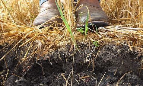 Conservation Stewardship Program Enrollment Opens Morning Ag Clips