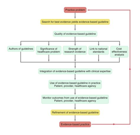 Ebpi Test 3 Flashcards Quizlet
