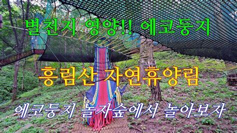 경북산림관광 추천 영양 흥림산 자연휴양림영양 에코둥지에서 신나게 놀자 Youtube