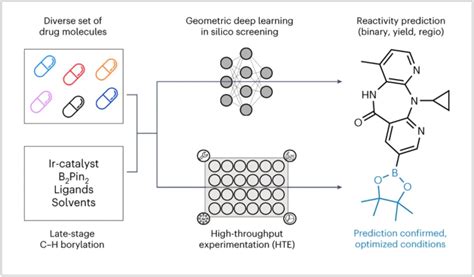 Enabling Late Stage Drug Diversification By High Throughput Experimentation With Geometric Deep