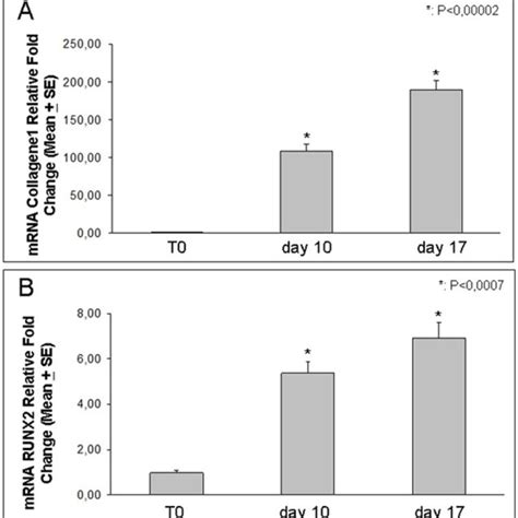 Coll I And Runx2 Expression Real Time Pcr Analysis Shows Runx2 And Download Scientific Diagram