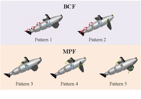 Figure 1 From Turning Maneuverability Analysis Of A Bionic Gliding