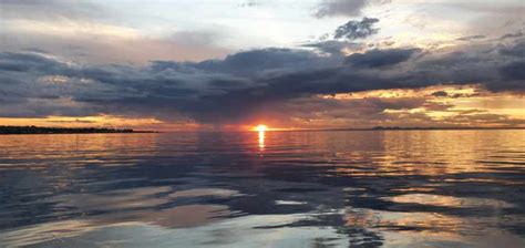 Port Phillip Bay Fishing Report 08 10 2024 Fishing Mad