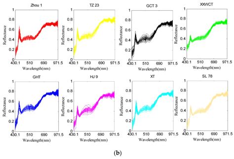 Hyperspectral Image Based Variety Classification Of Waxy Maize Seeds By The T Sne Model And