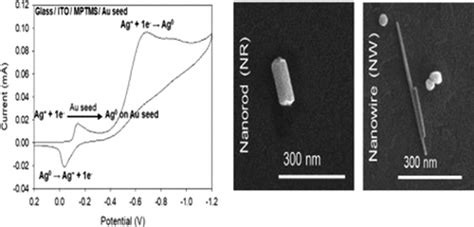 Seed Mediated Electrodeposition Of Silver Nanowires And Nanorods Langmuir