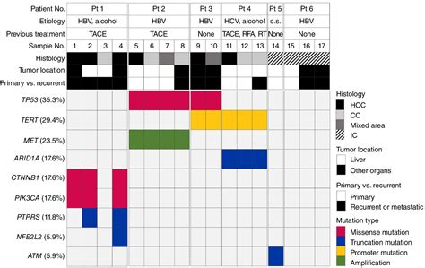 Multiregional Analysis Of Combined Hepatocellular‐cholangiocarcinoma Reveals Histologic
