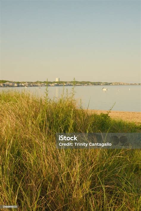 맑은 하늘을 배경으로 바다의 경치 좋은 전망 마른 밀짚 잔디 0명에 대한 스톡 사진 및 기타 이미지 0명 경관 모래 Istock