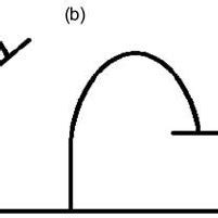 A Semi Erect Stem With Vertical Head Inclination B Droopy Stem Download Scientific Diagram