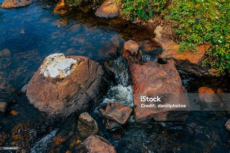 풍부한 산 식물 근접 촬영 근처 봄 물에 돌을 부드럽게 붉은 색과 오렌지색 돌 중 깨끗 한 물 흐름입니다 봄 시내 아름 다운 식물의 자연 배경입니다 젖은 돌 크릭 공간 복사