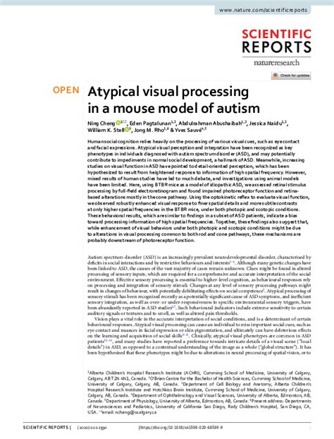Pdf Atypical Visual Processing In A Mouse Model Of Autism William