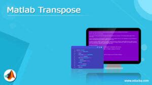 Matlab Transpose Different Examples Of Matlab Transpose