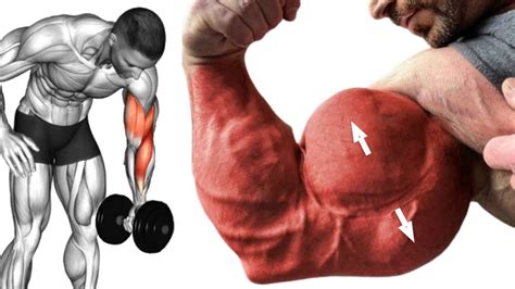 Exercises To Make Define Arms YouTube