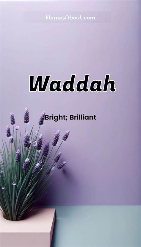 Waddah Name Meaning And Origins Nicknames Sibling Ideas