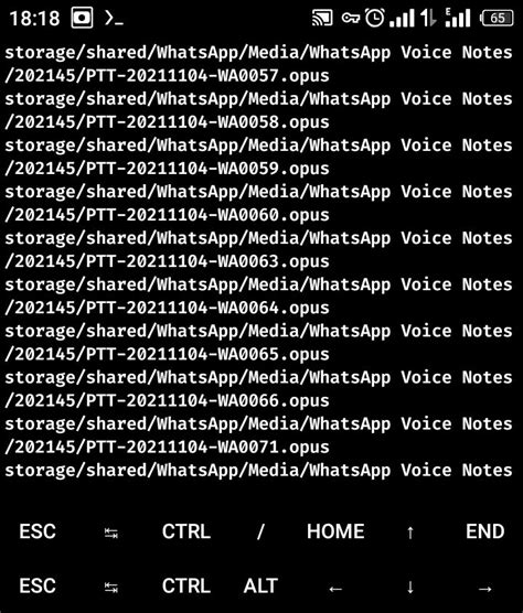 FZF Not Listing Files In Storage Directory In Termux HOME Issue Junegunn Fzf GitHub