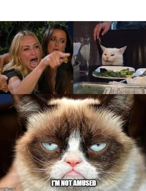 Image Tagged In Memesgrumpy Cat Not Amusedwoman Yelling At A Cat