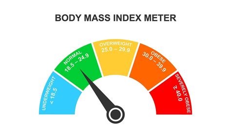 Body Mass Index Meter Infographic Bmi Dashboard With Arrow Weight