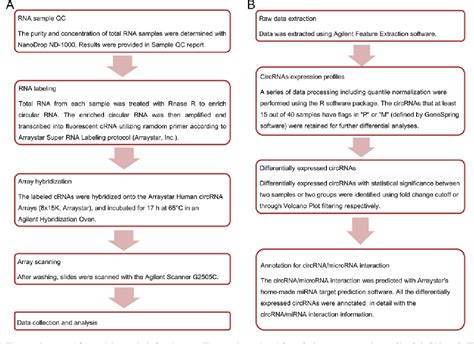 figure 1 from microarray expression profile analysis of circular rnas