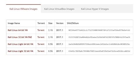 How To Download And Install Kali Linux On VMware