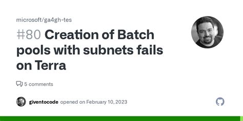 Creation Of Batch Pools With Subnets Fails On Terra · Issue 80