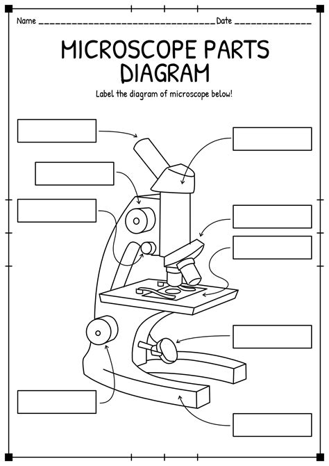 Parts Of A Microscope Worksheets