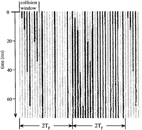 Dynamic Process Of Collision Avoidance A Time Variation Of Collision Download Scientific