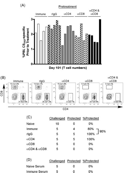 Protective Immunity In Dc Cs 252 Lm Cs 252 Immunized Mice Is Cd8 T Download Scientific Diagram