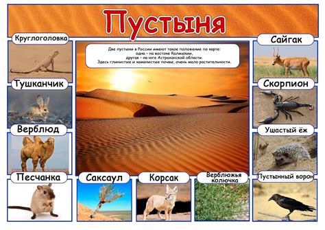Типичные животные пустыни 60 фото