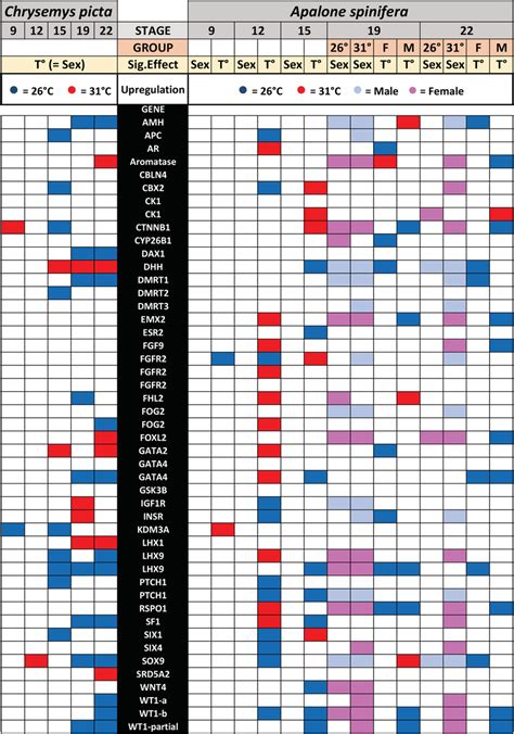 Genes Of Interest From The Vertebrate Sexual Development Network And Download Scientific