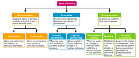 Associative Learning
