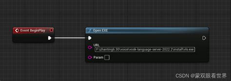 Ue4、ue5凋用第三方pc程序ue5拉起外部程序 Csdn博客