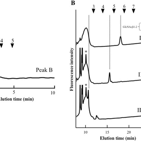 Result Of Reversed Phase Hplc Analysis Of Peaks E And M The Closed